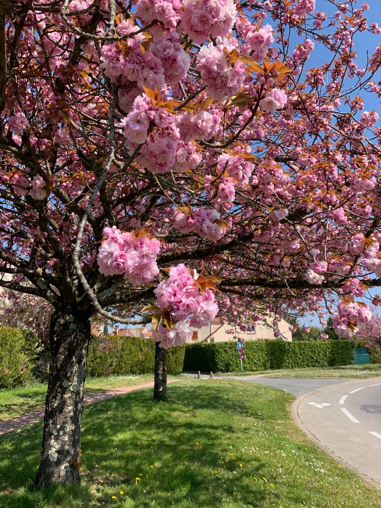 Vivre ensemble - Marolles-en-Brie